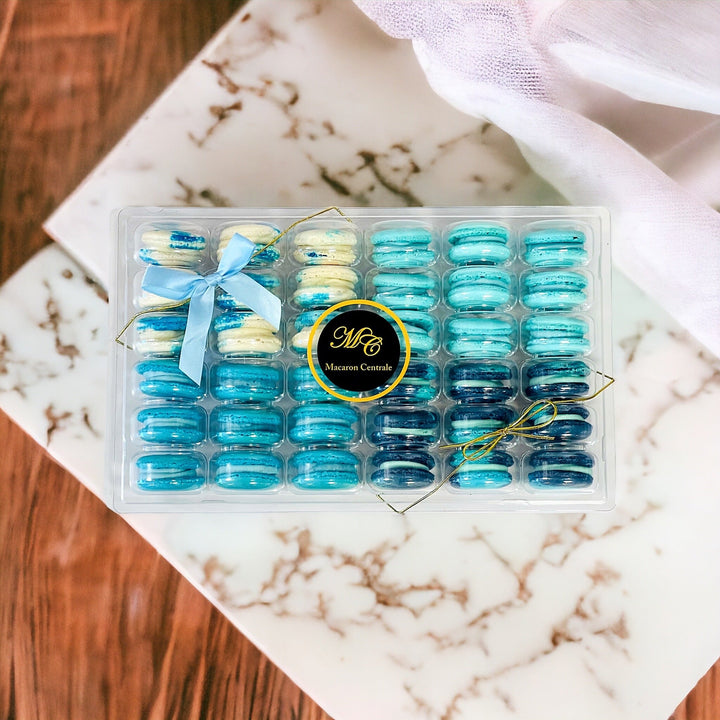 Purple Vibe: A Flavorful Quartet of French Macarons in One Set | 36 ...