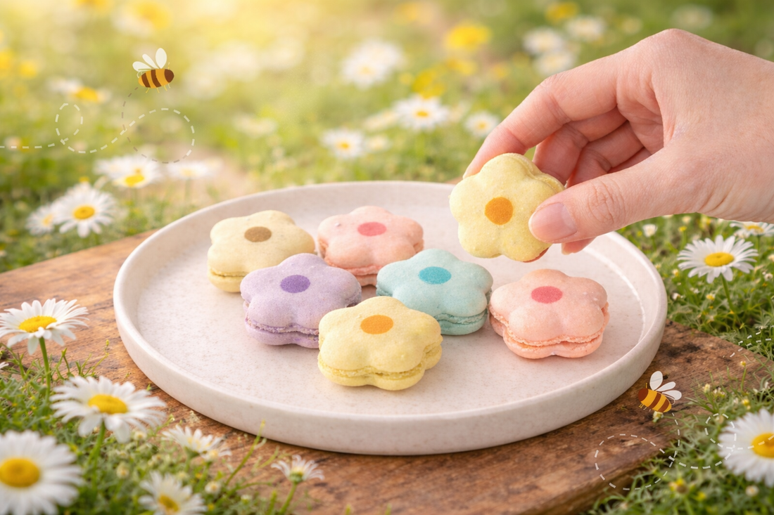 Macaron Centrale | French Macarons at an Unparalleled Price